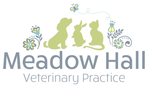 Best Vet Clinic In Thakeham, RH20 3GW | Meadow Hall Veterinary